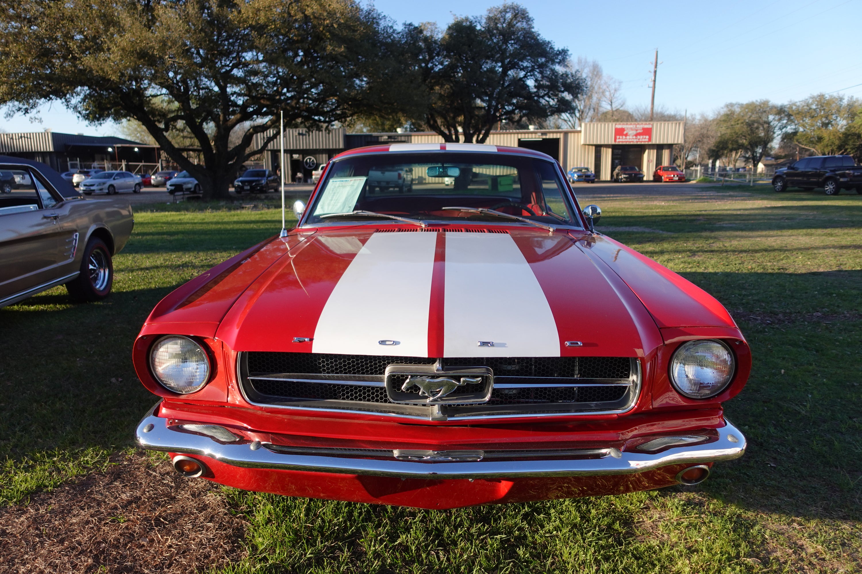 About – Performance Mustangs